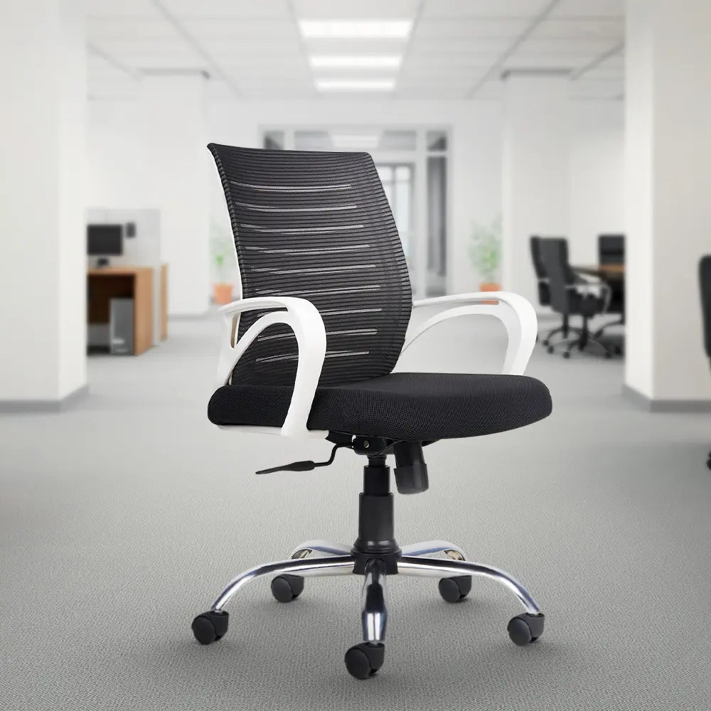 Premium Office Chairs Collection | Ergonomic & Stylish | Cellbell